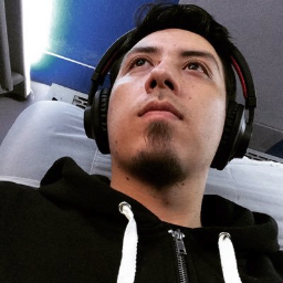 Daniel Maurel - Webflow