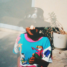 Gintel Gee - Webflow