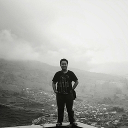 Jandy Aditya Pratisto - Webflow