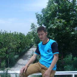 Sayyed mostafa Farzan - Webflow