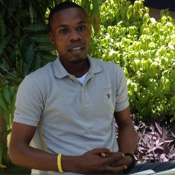 Adenekan Adeleke - Webflow