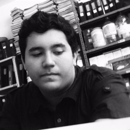 Julio Ramirez De Freitas - Webflow