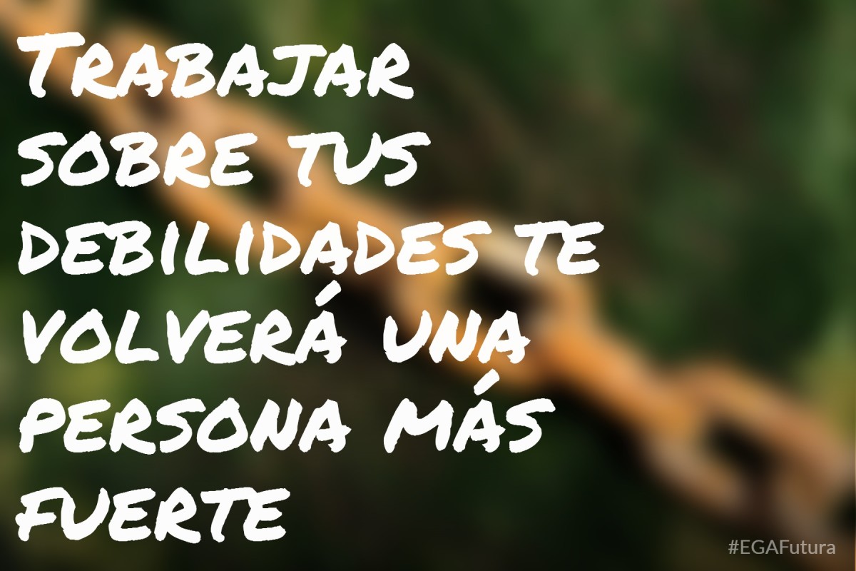 Busca en tus debilidades como potenciar tu Éxito Empresarial