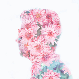 Dustin Kirkpatrick - Webflow