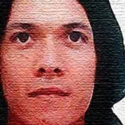 Felippe Coutinho - Webflow