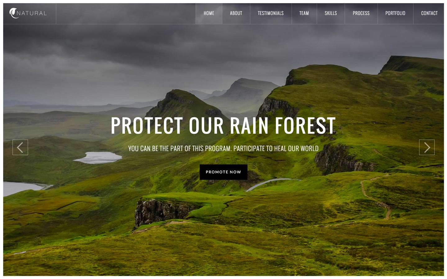 Natural - Charity HTML5 Responsive Website Template