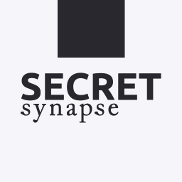 Studio Secret Synapse - Webflow