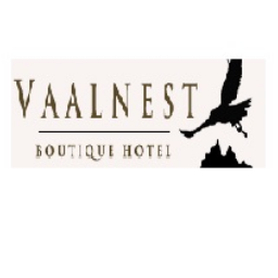 Steven Morgan - Webflow